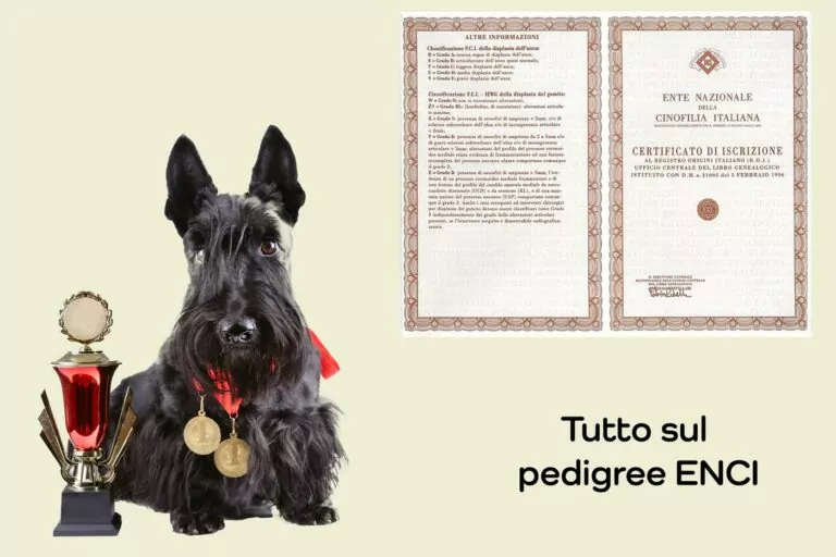 Tutto sul Pedigree per cani: 30 risposte a tutte le tue domande! - Khani.it
